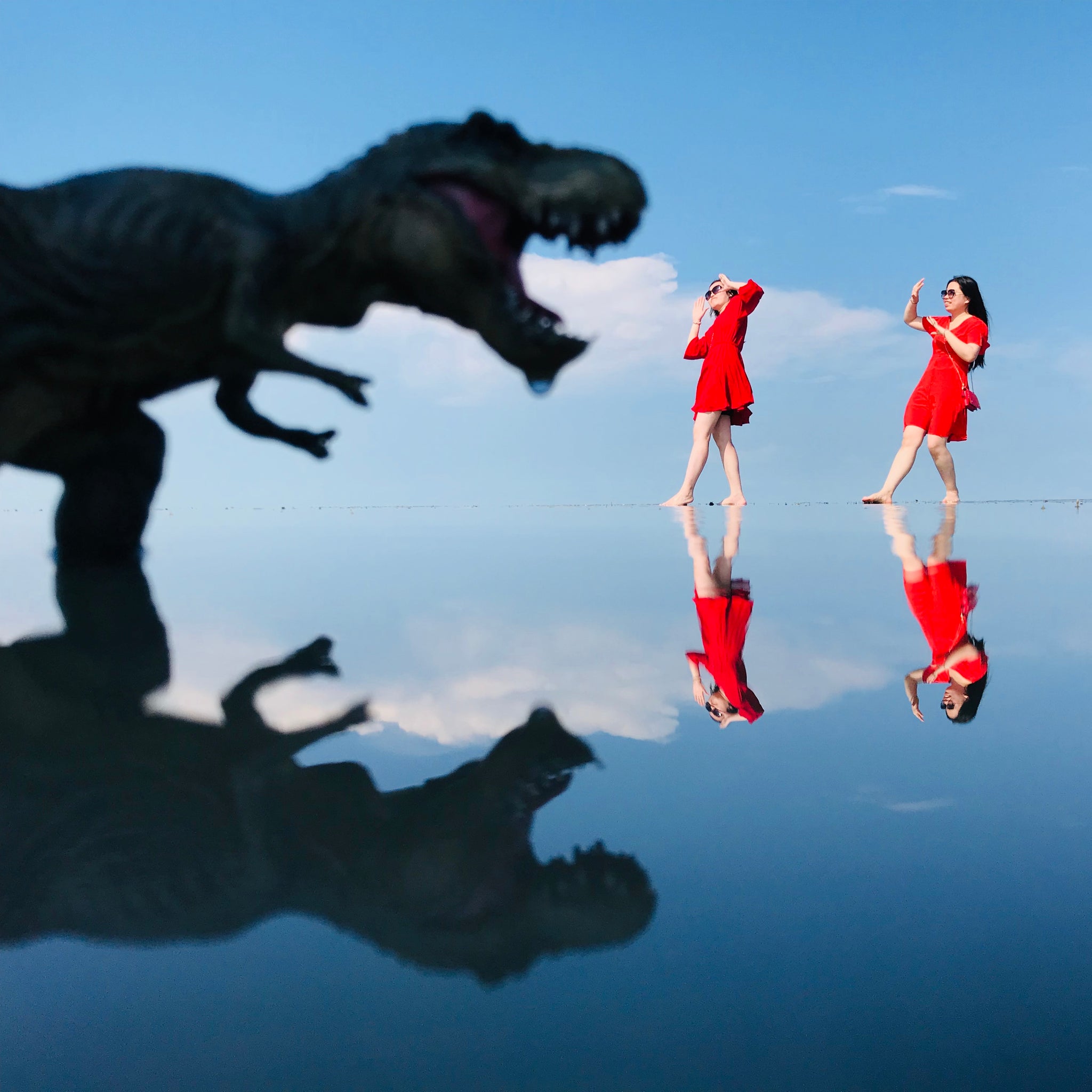 Sky Mirror Tour – Sky Mirror Fun Life Jetty